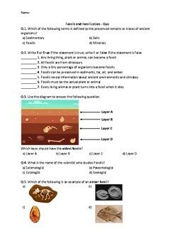 Fossils And Fossilization Quiz Easel Activity Printable PDF