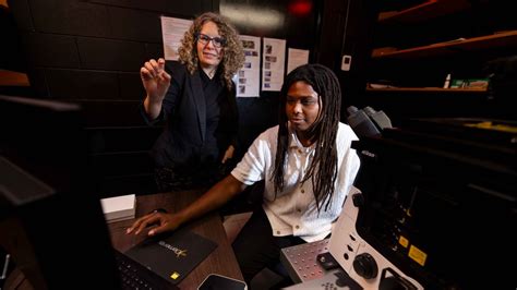 Shared Super Resolution Microscope Boosts Brain Research Mirage News