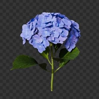 Render With Transparent Background In Blender Interactive Tutorial