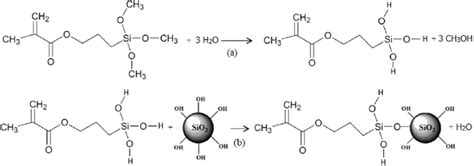 Schematics Of A MPS Hydrolysis And B The Reaction Between SiO Download Scientific