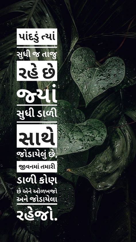 Pin By Arpit Patel On STATUS QUOTES WALLPAPER Status Quotes Quotes Movie Posters