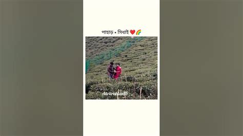 মিঠাই ও সিড এর কিছু দুষ্টু মিষ্টি ভালোবাসার মুহূর্ত Viral Shorts