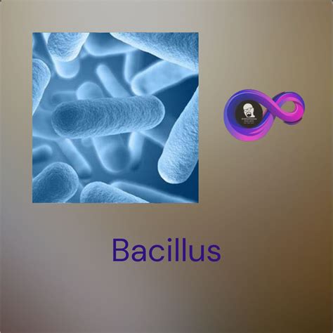 Bacillus Cereus A Genus Of Bacteria Bioscience Central Posted On The Topic Linkedin