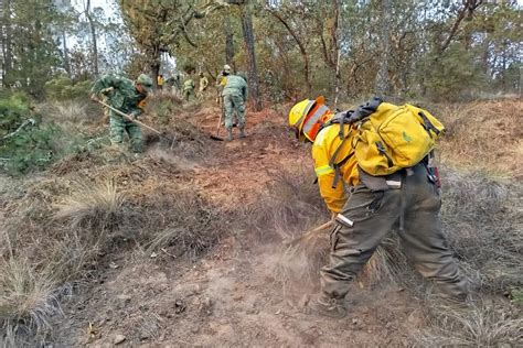Liquidan Incendio En Polígono De Las Altas Montañas De Veracruz Xeu