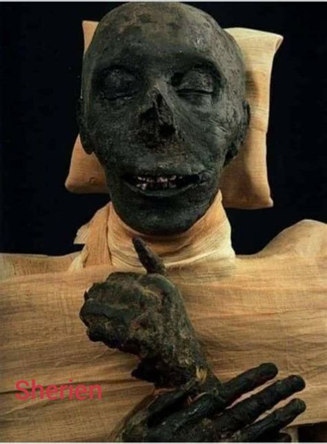 Thread1379850146377302016langen Egyptian