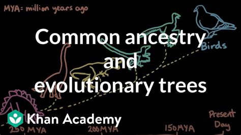 Phylogenetic Tree Activity Middle School At Emma Acevedo Blog