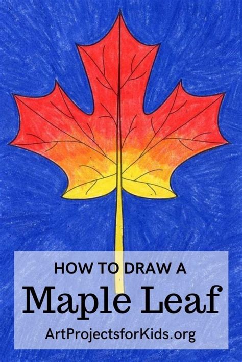 Easy How To Draw A Maple Leaf Tutorial And Maple Leaf Coloring Page