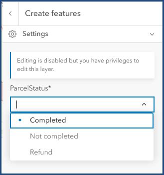 Problem The Domain List In The Map Viewer Create Features Pane Does