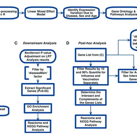 Meta Analysis Workflow To Assess Gene Expression Variation In Download Scientific Diagram