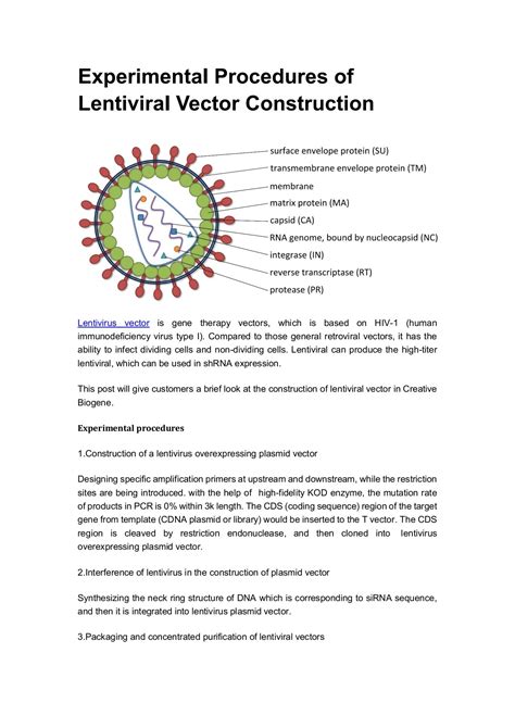 Experimental Procedures Of Lentiviral Vector Construction Yang Robot