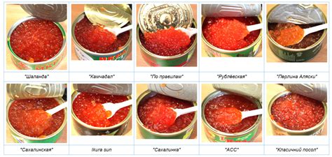 Чем отличается красная икра разных рыб разница между горбушей кетой