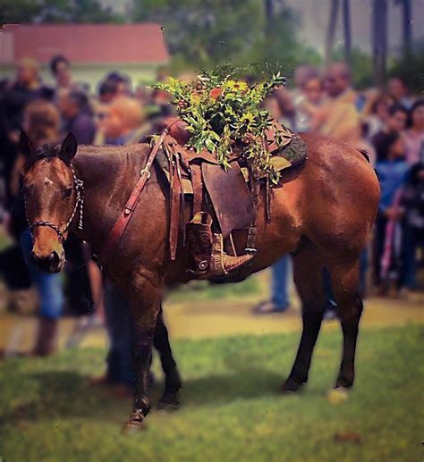 Todd Roque Obituary 2016 Alexandria La The Town Talk