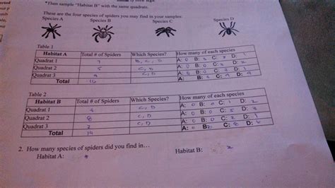 Comparing Biodiversity Spiders Spiders Everywhere Ap Environmental Science