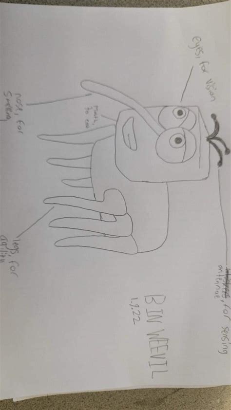 Weevil Weekly Weevil Weekly Tumblr Blog Tumlook