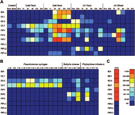 Stress Induced Expression Of Idaidl And Pippipl Genes Based On In