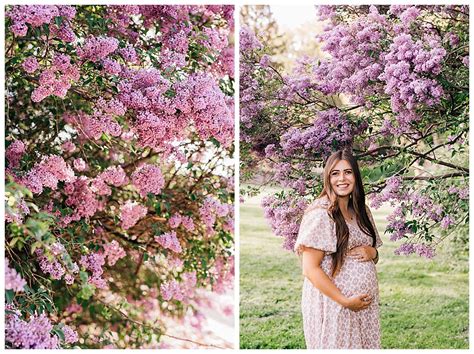 My Lilac Maternity Pictures Whitney Beth Photography Whitney Beth Photo