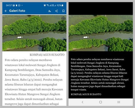 Seandainya Ada Solusi Dari Developer Web Agar Foto Vertikal Tak Memakan Memori Pilih Mana