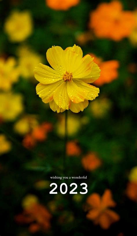 Basant Soni On Linkedin Have A Great 2023 May It Be Filled With Hope