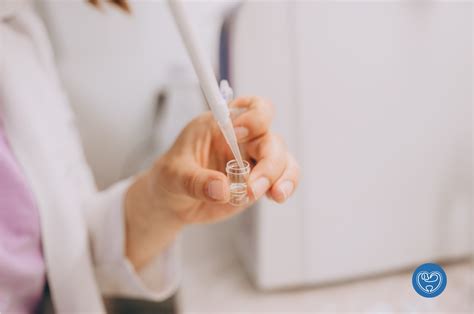 Vet House ვეტ ჰაუსი Tbilisi