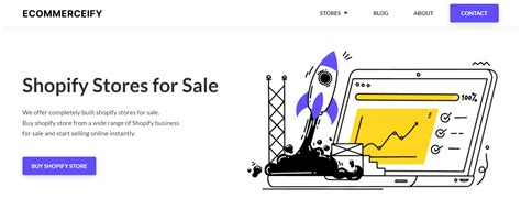 Turnkey Dropshipping Store Providers A Quick Guide