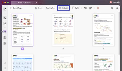 How To Save Only Certain Pages Of A PDF On Mac UPDF