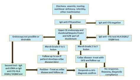 Diagnosis And Management Of Celiac Disease Icmr Guidelines