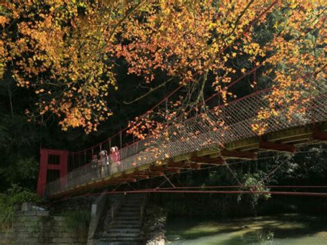 全台景點｜全台賞楓秘境清單在這！楓紅石橋配古廟、隱藏版小瑞士就在這？！ Readygo