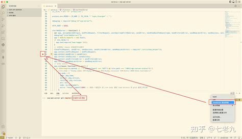 Debug调试入门，快速找出代码bug，代码逻辑研究 知乎