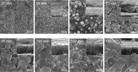 Surface Morphology Of Ti Sheets Being Immersed In Nh4 2tif6 Hf