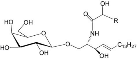 Cerebroside Structure