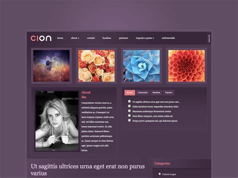 🚀 Our Wordpress Themes Cion Infomaniak
