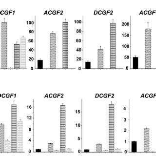 Illustration Showing Differences Between Glanded And Glandless Cotton Download Scientific