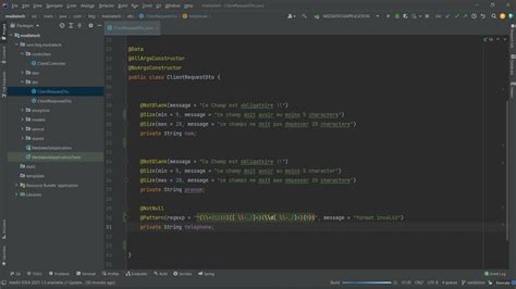 Formation Spring Boot 18 Pattern Validation Annotation Youtube