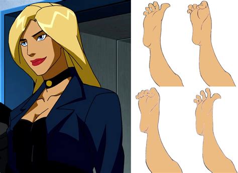Dinah Lanceblack Canary Yjs01 By Griffinknightavenger On Deviantart