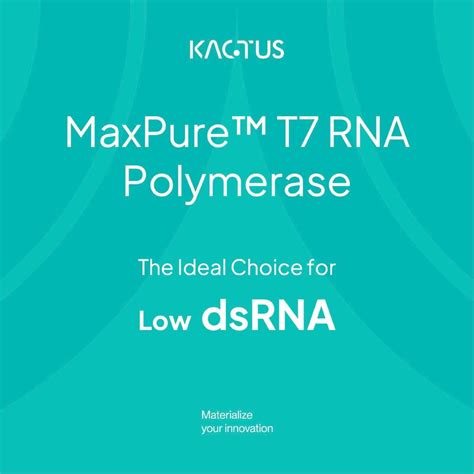 Yujiao Zhang Phd On Linkedin Using T7 Rna Polymerase For Ivt And Troubled By Dsrna Formation