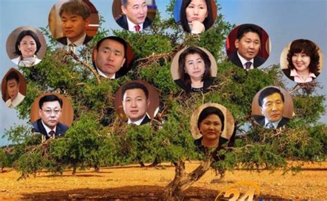 24 баримт МАН ын ураг төрлийн томилгооны мод мөчир салаагаа хэрхэн нэмэв