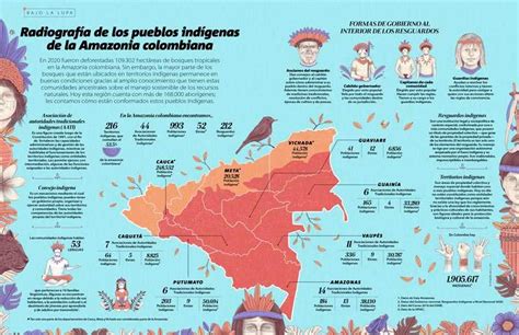 Infografías IRI Colombia