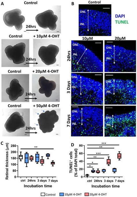 Michelle Tang On Linkedin Heparin Binding Epidermal Like Growth Factor