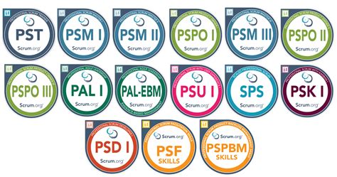 Professional Scrum Master