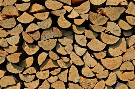 Tree Wood Background Free Photo On Pixabay