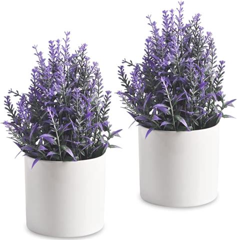 OFFIDIX Piante Artificiali Mini Eucalyptus In Plastica Con Vaso