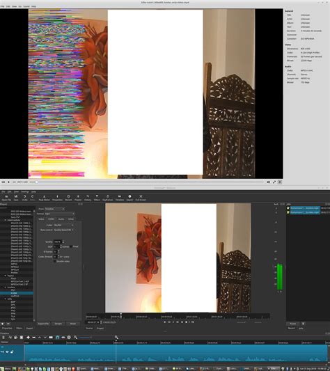 Just Trouble Trying Just To Rotate Video Bug Shotcut Forum