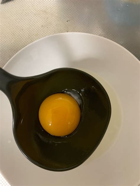 養鶏場が卵の白身と黄身の栄養素の違いを説明！それぞれ異なる特徴がある 大熊養鶏場