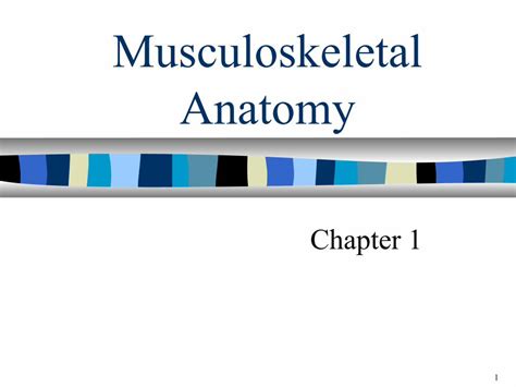 PDF Musculoskeletal Anatomy Ms Grant S Classroomalyssagrantshc
