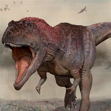 Descubren Nueva Especie De Dinosaurio En La Patagonia Argentina