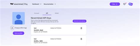 What Is A Nevermined API Key How To Obtain It And How To Use It