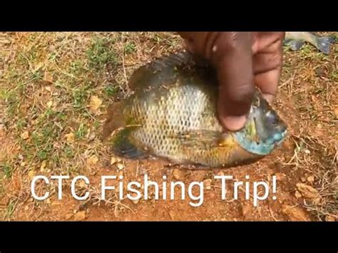 Lake Fishing Trip With LIVE BAIT Catching Crawfish And Crickets For