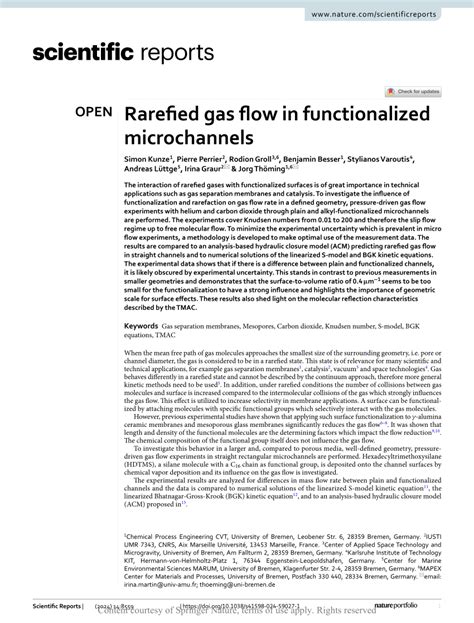 PDF Rarefied Gas Flow In Functionalized Microchannels