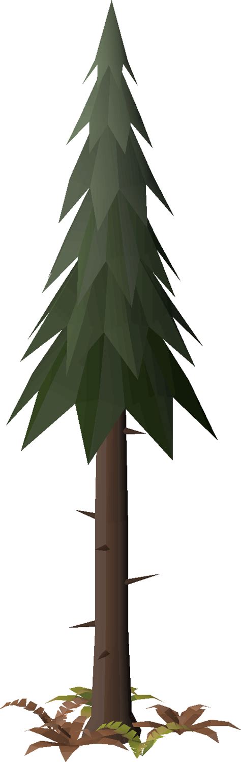 Pine Tree Osrs Wiki