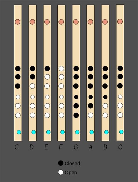 Indian Flute Notes